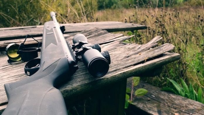 Air Rifles: Giving You An Edge In Survival - The Prepper Journal